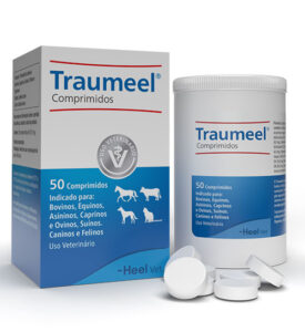 Traumeel - Heel Vet